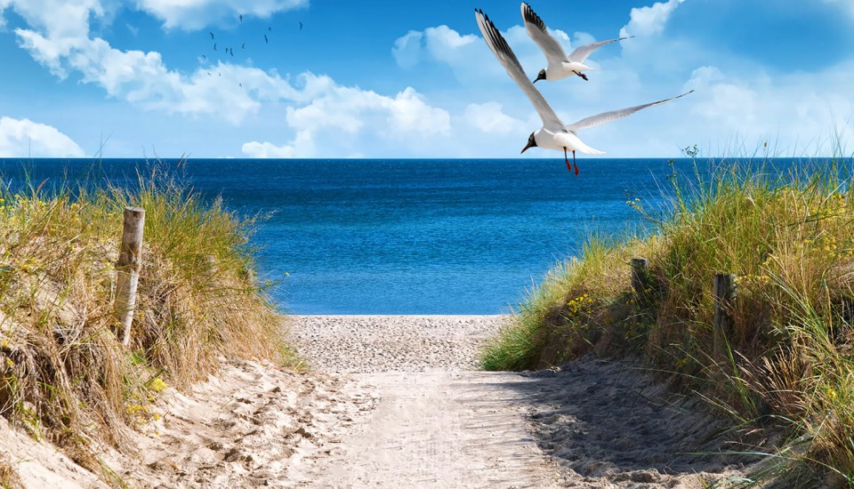 Badeurlaub Strandurlaub Inselurlaub - TravelScout24