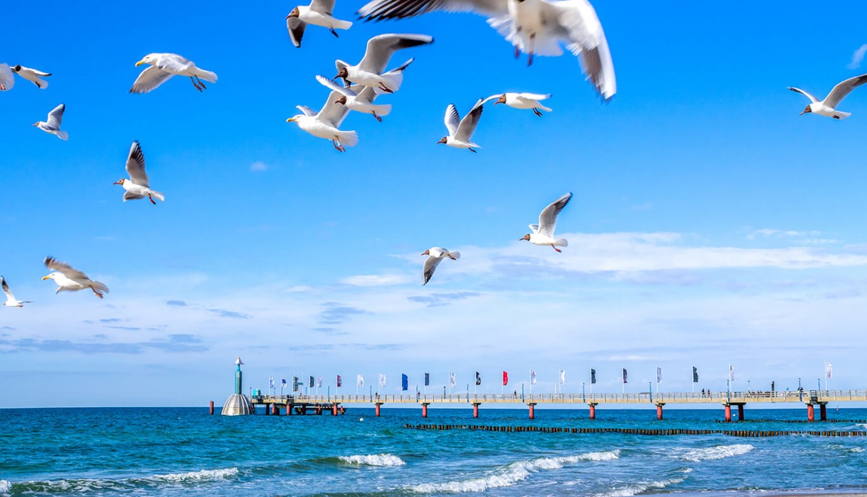 Flug buchen & Billigflüge vergleichen - TravelScout24