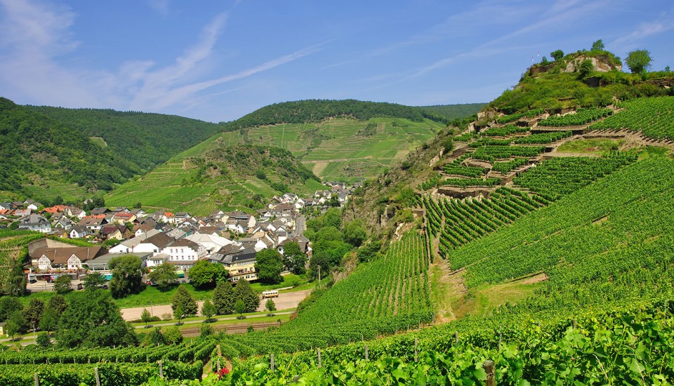 Urlaub in Rheinland-Pfalz - Travelscout24